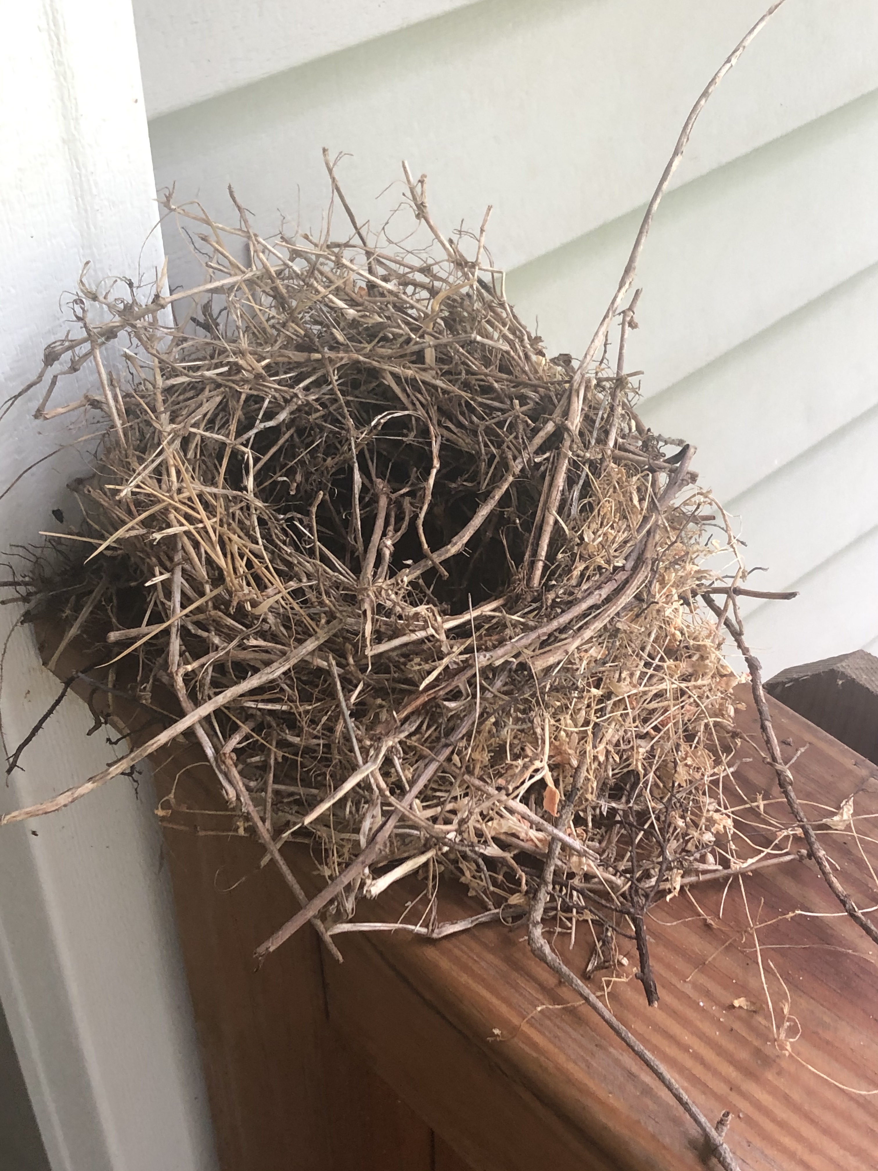 LOCATION, LOCATION, LOCATION – Slice of Life